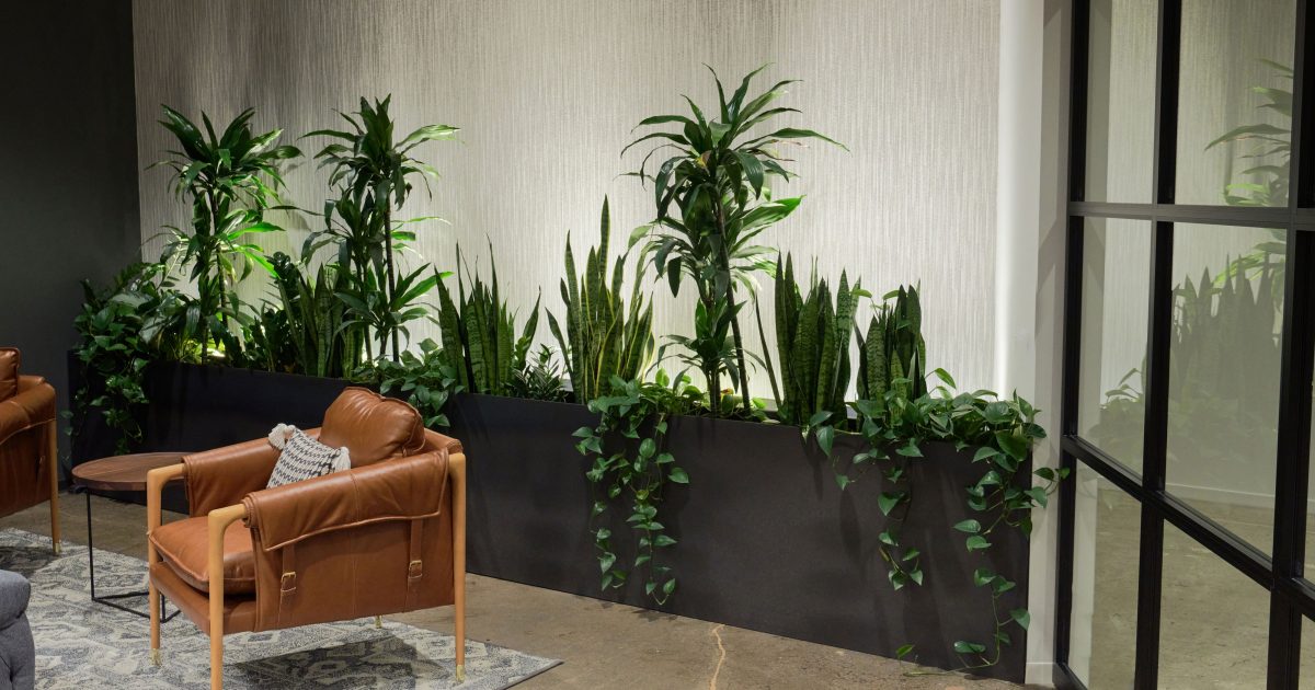 Icon Modern | Planters